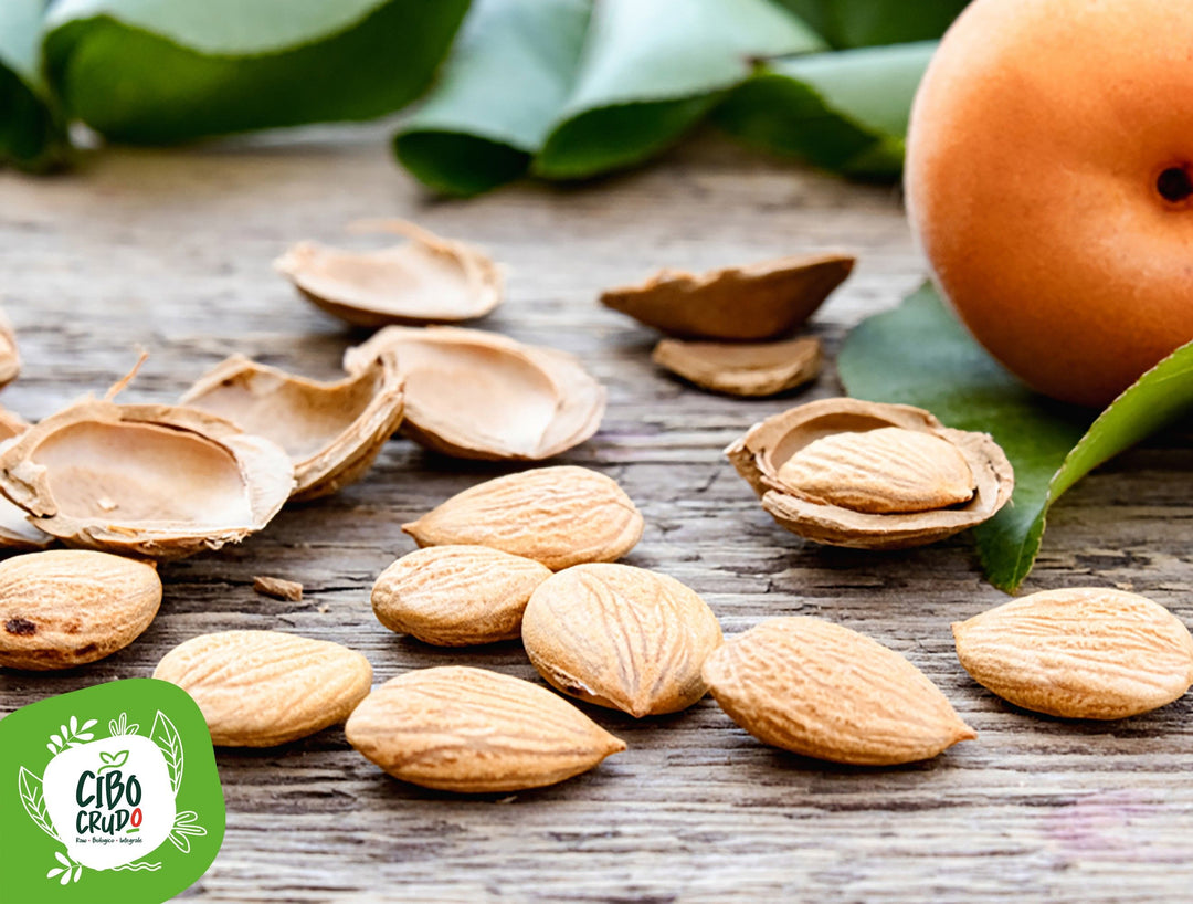 Armelline (Semi o mandorle di Albicocca): proprietà, benefici e ricette ...