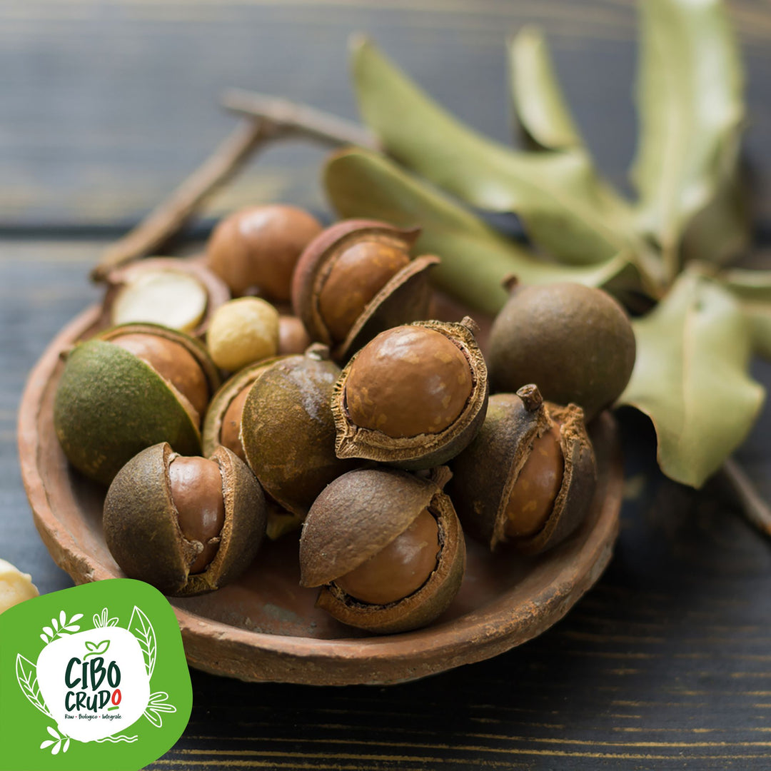 Noci di Macadamia: Proprietà, Benefici e Ricette | CiboCrudo