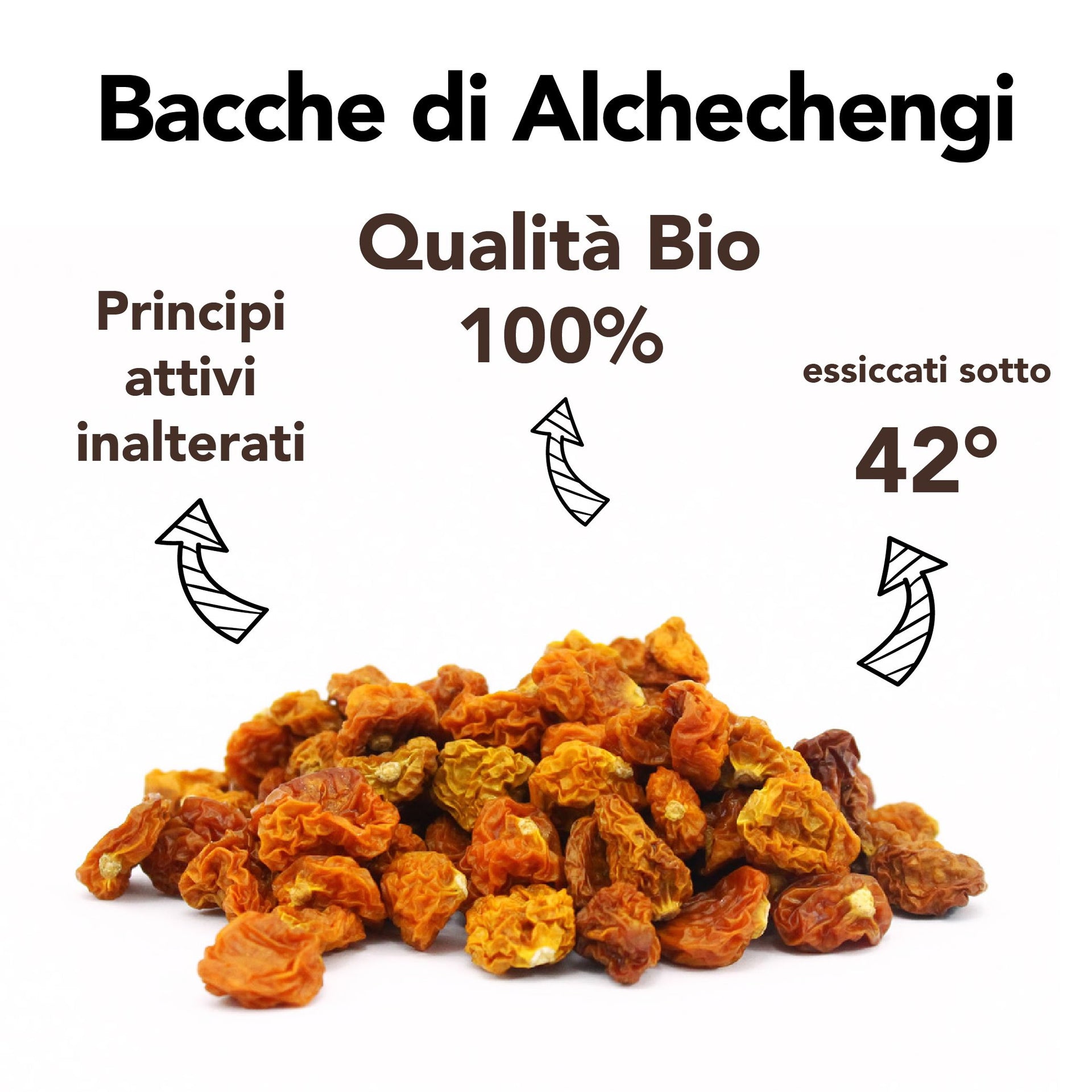 Bacche essiccate Bio e Raw | CiboCrudo